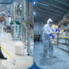 GMP Guide for Food Businesses | Easy Compliance Checklist